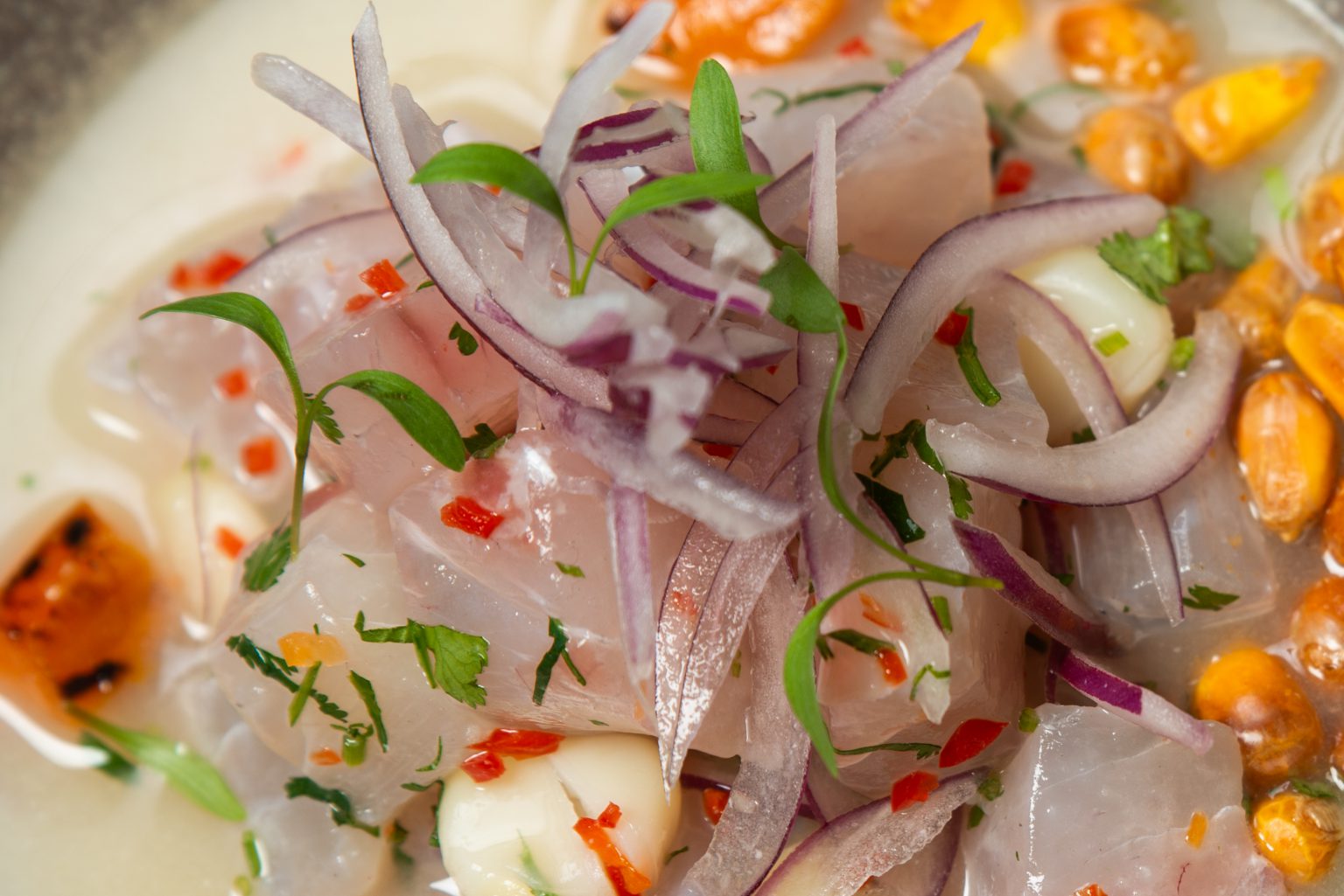 CALLAO – Cocina Peruana